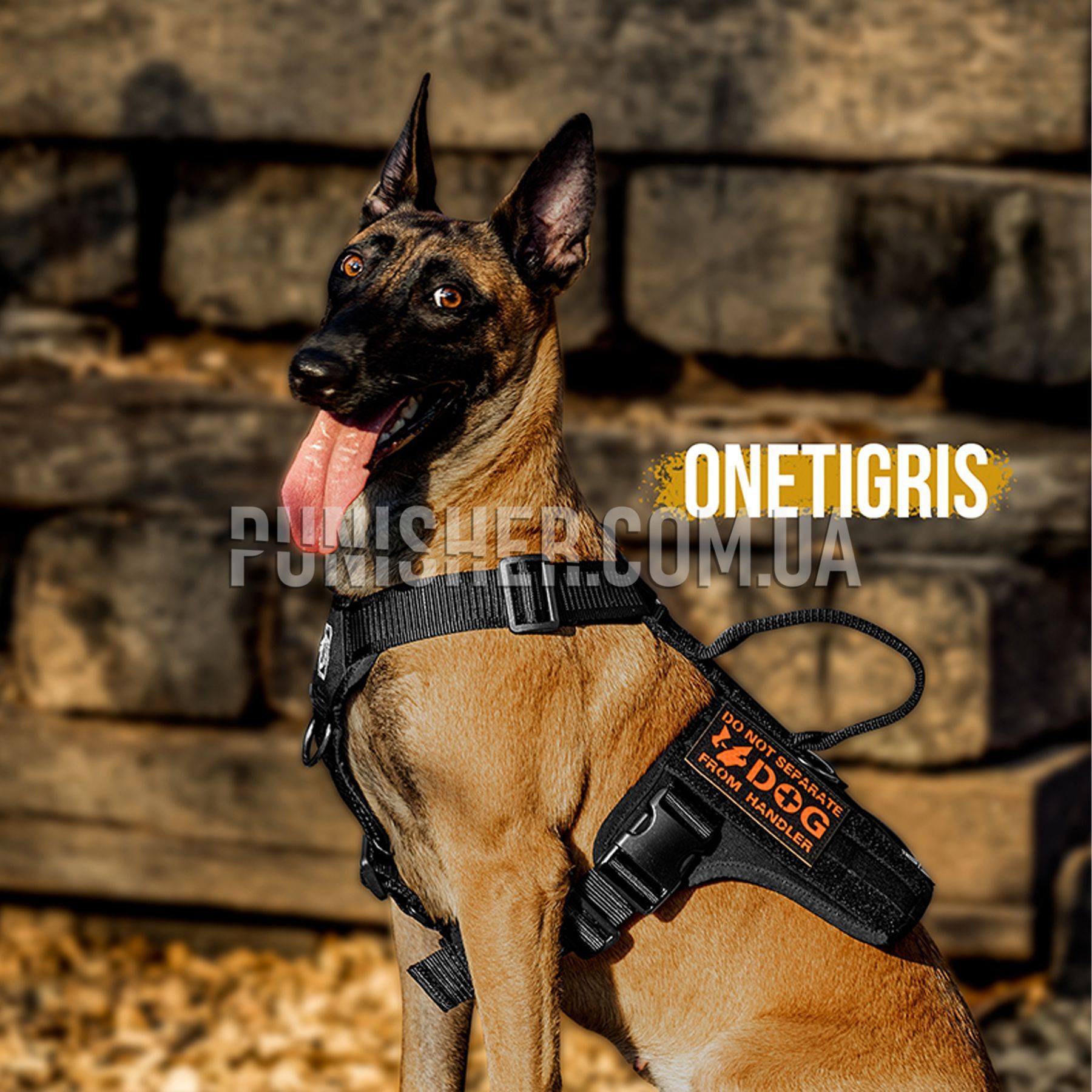 OneTigris Colossus Tactical Harness Black buy with international ...