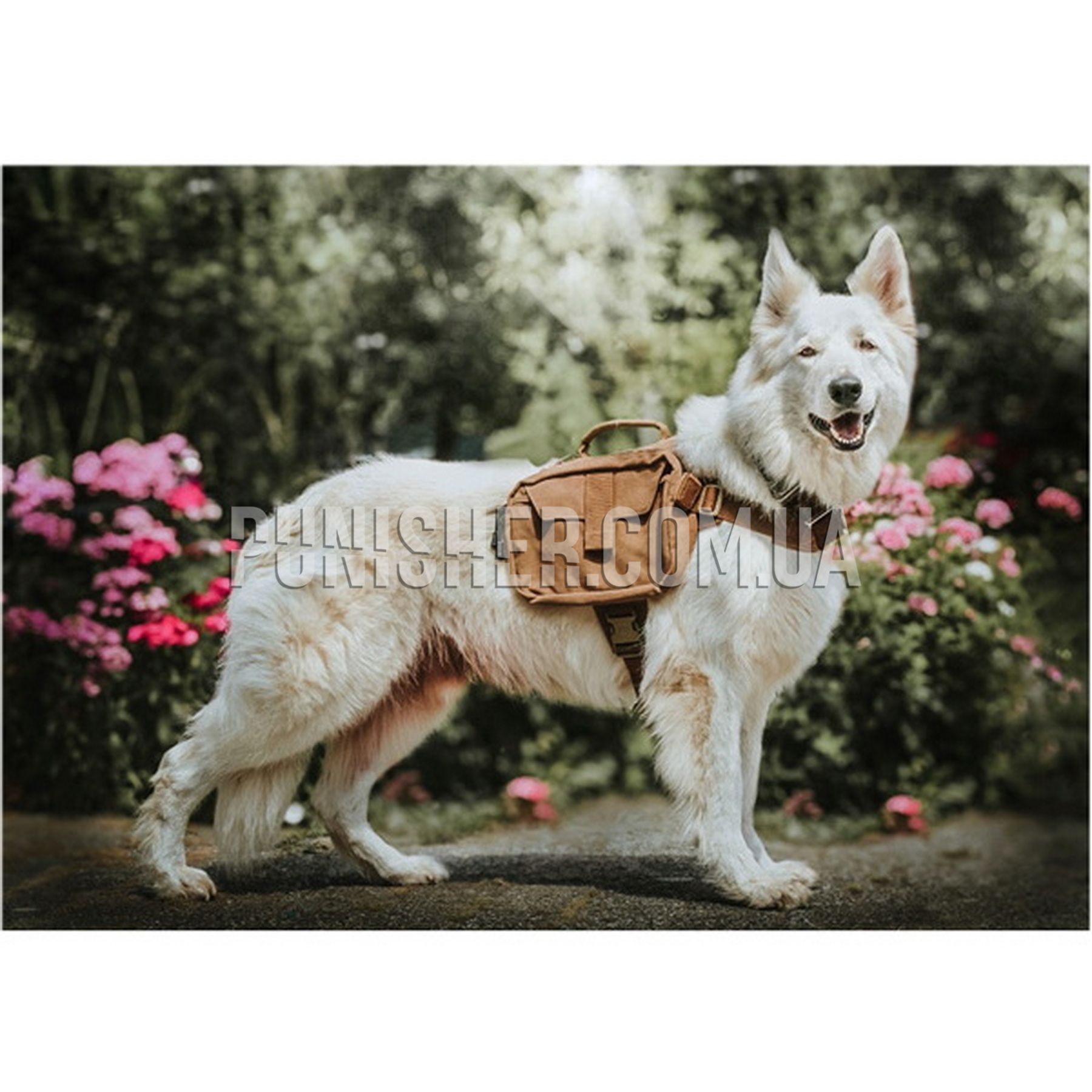 OneTigris K9 Hoppy Camper Dog Pack 2.0 Coyote Brown buy with ...