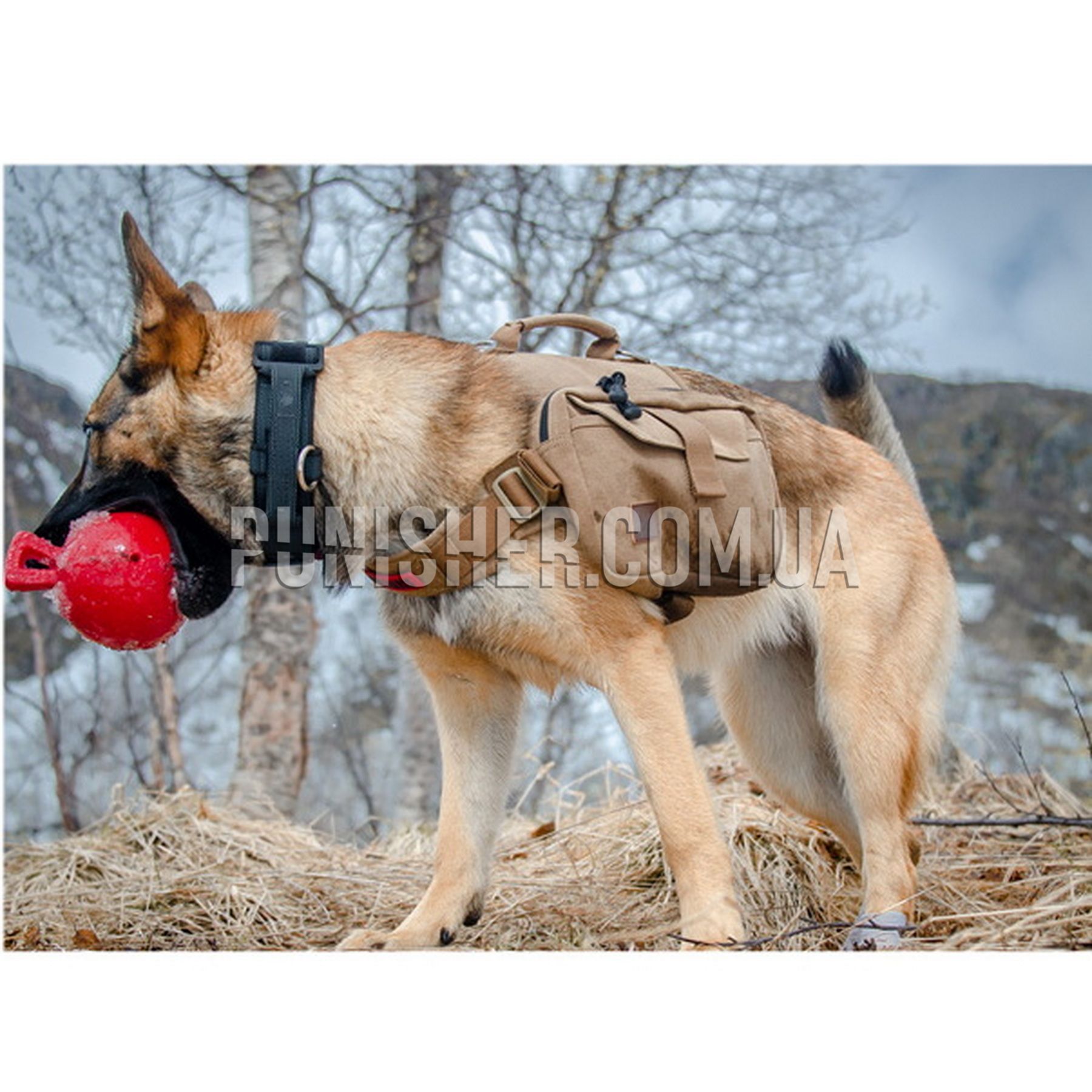 OneTigris K9 Hoppy Camper Dog Pack 2.0 Coyote Brown buy with ...